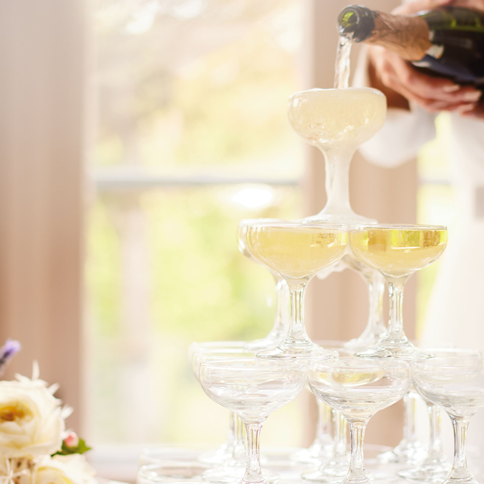 Occasions & Holidays | Hallmark