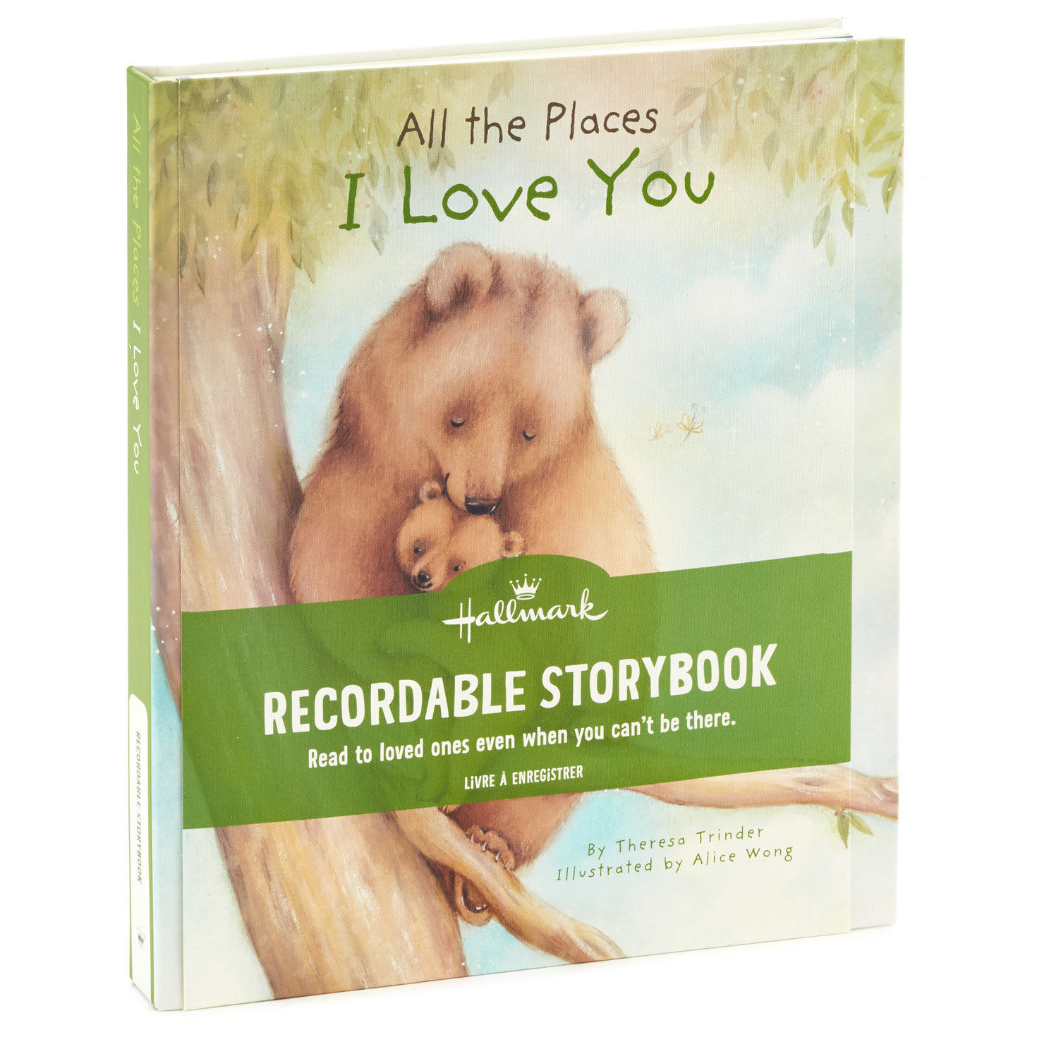 All The Places I Love You Recordable Storybook With Music - Recordable ...