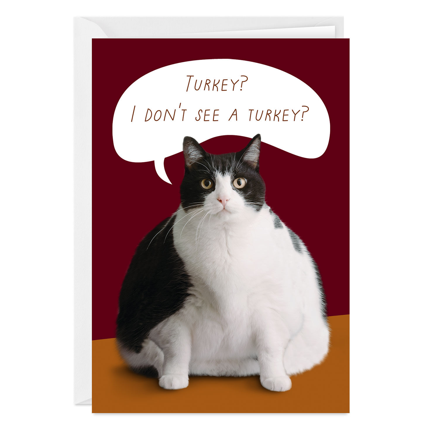 Fat Cat Funny Custom Thanksgiving Card - Greeting Cards | Hallmark
