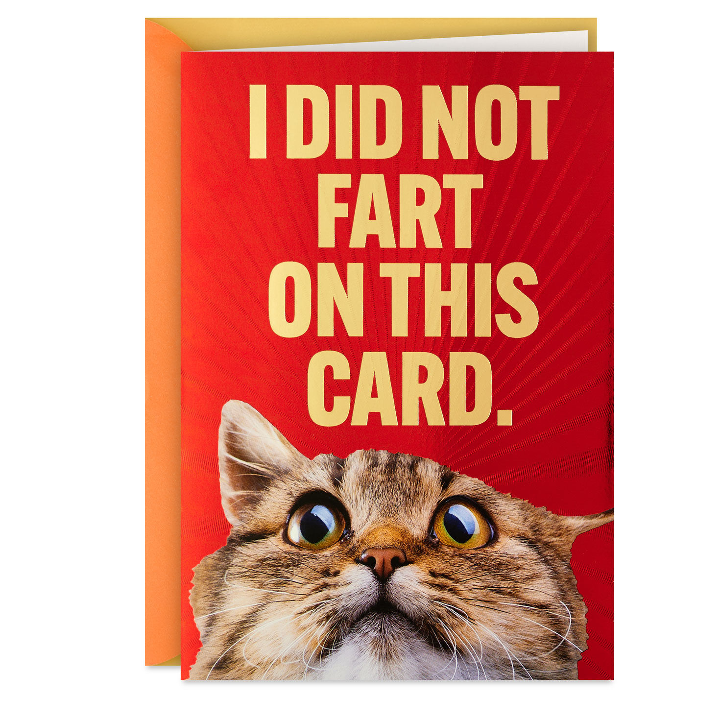 I Did Not Fart Or Did I? Funny Birthday Card - Greeting Cards | Hallmark
