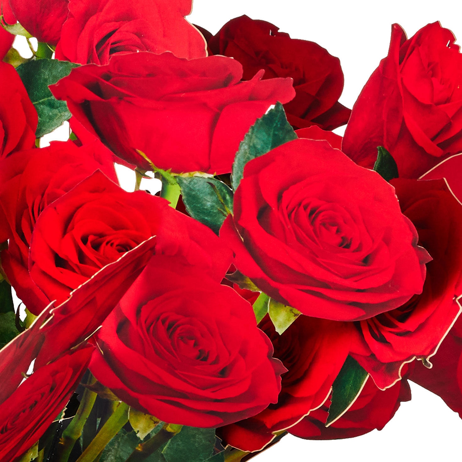 Build-a-Bouquet Red Roses Pop-Up Paper Flowers - Greeting Cards | Hallmark