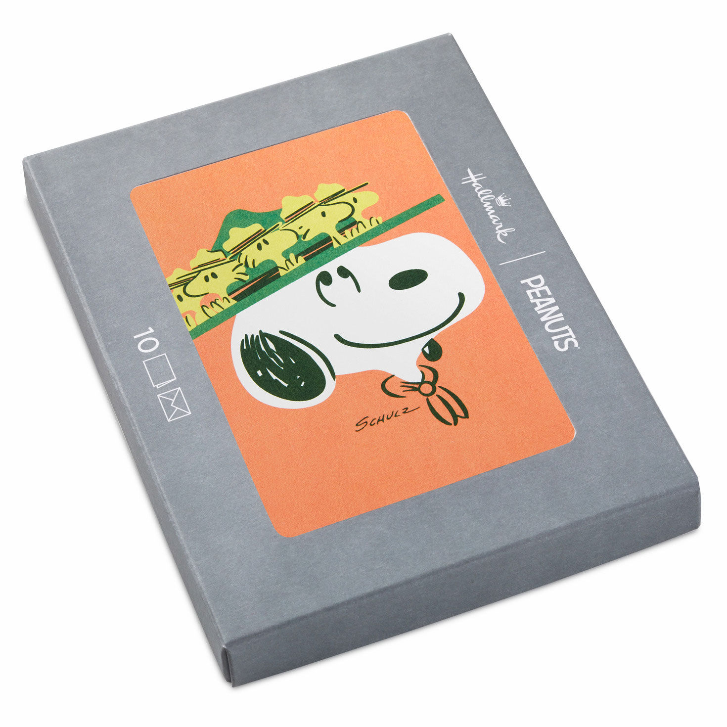 Peanuts® Beagle Scouts Snoopy and Friends Boxed Blank Cards, Pack of 10 ...