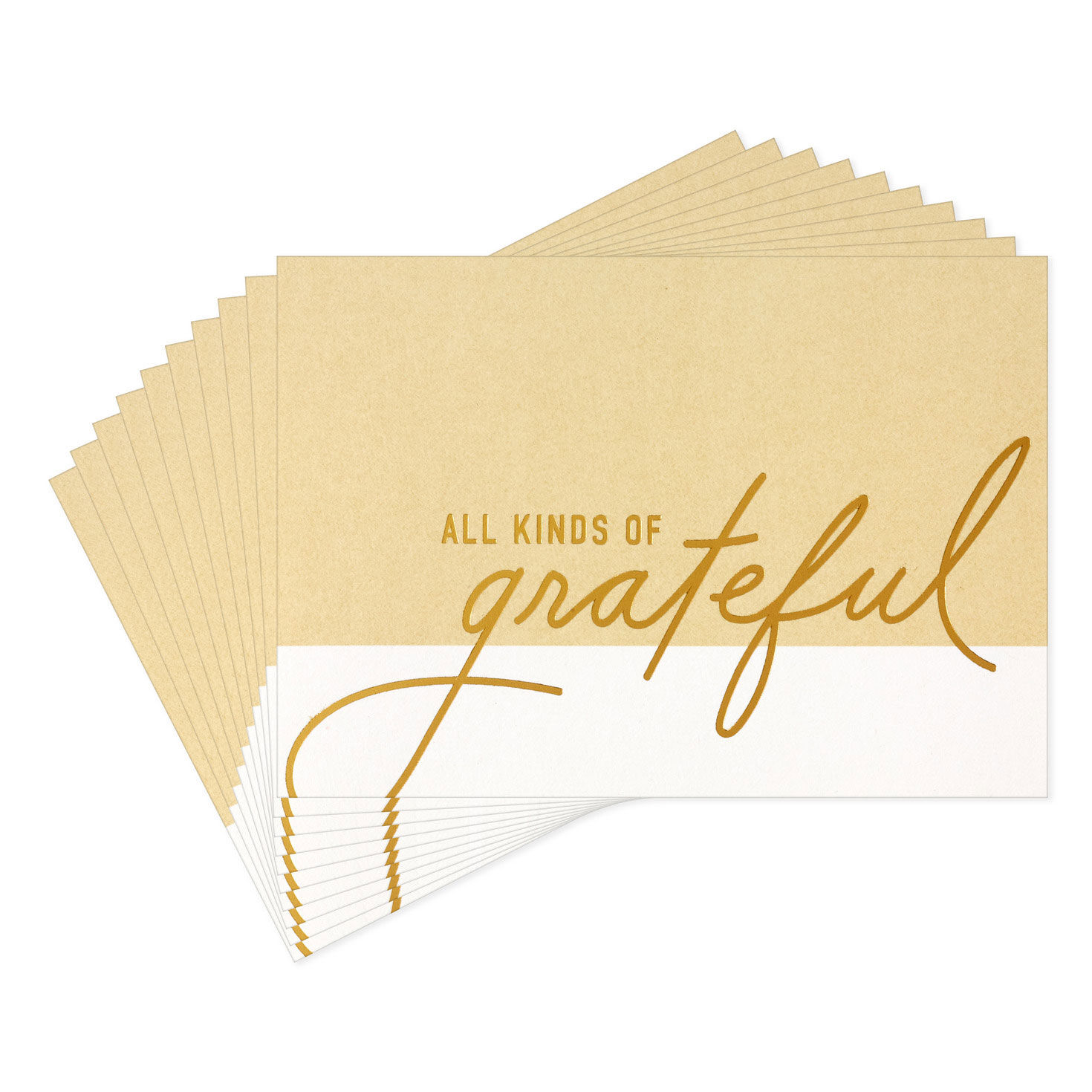 All Kinds of Grateful Blank Thank You Notes, Pack of 10 - Note Cards ...