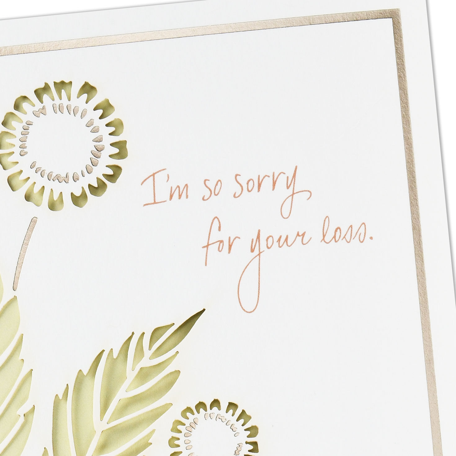 I'm So Sorry for Your Loss Sympathy Card - Greeting Cards | Hallmark
