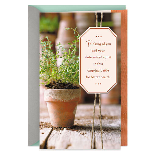 Get Well Soon Cards & Gifts | Hallmark
