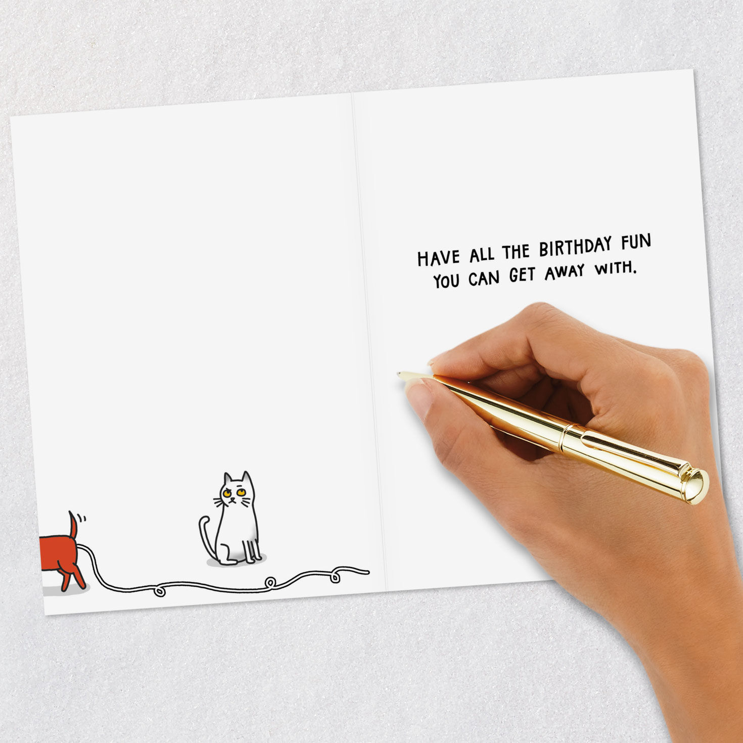 All the Fun You Can Get Away With Funny Birthday Card - Greeting Cards ...