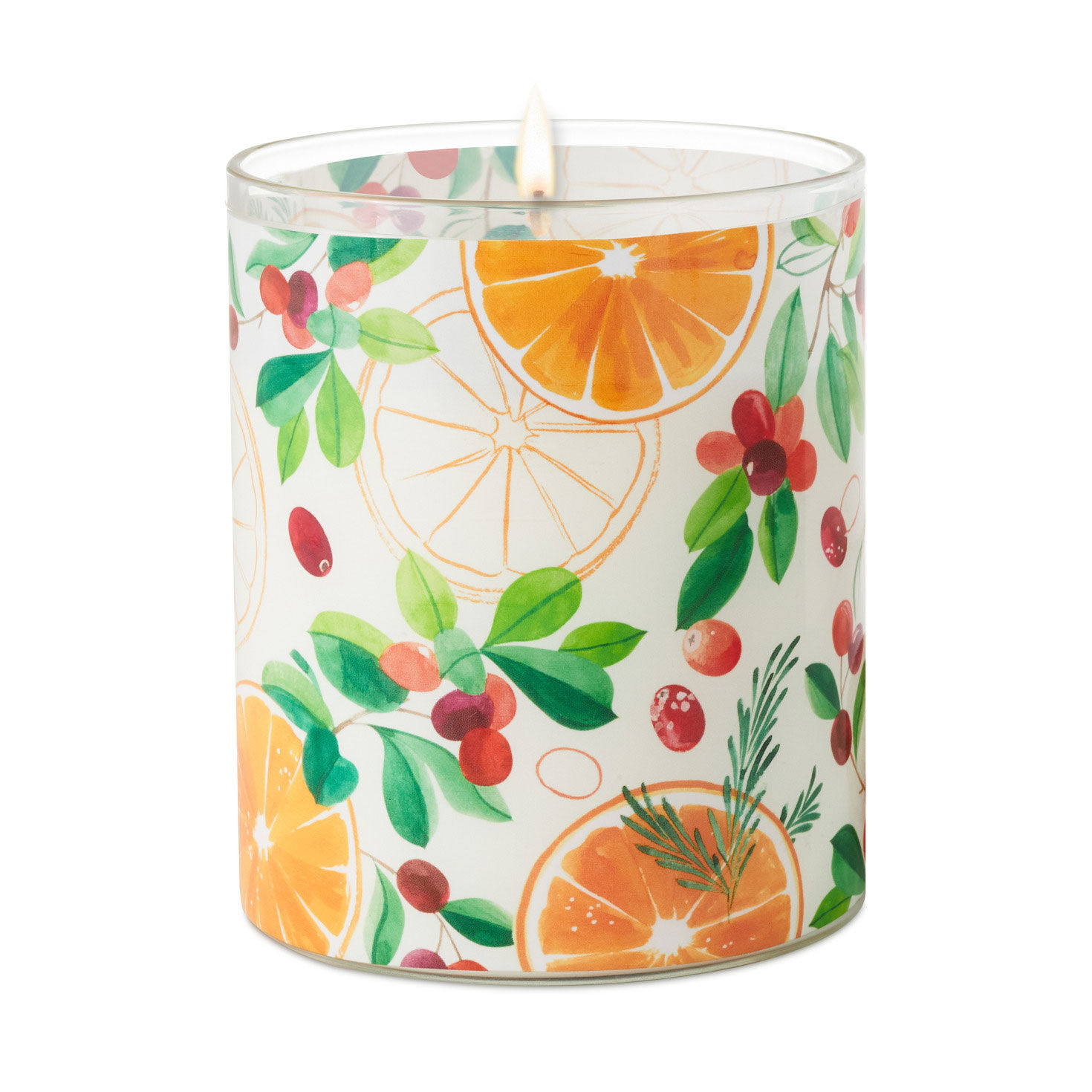 Cranberry and Orange Peel Scented 2-Wick Jar Candle, 14.5 oz. - Candles ...
