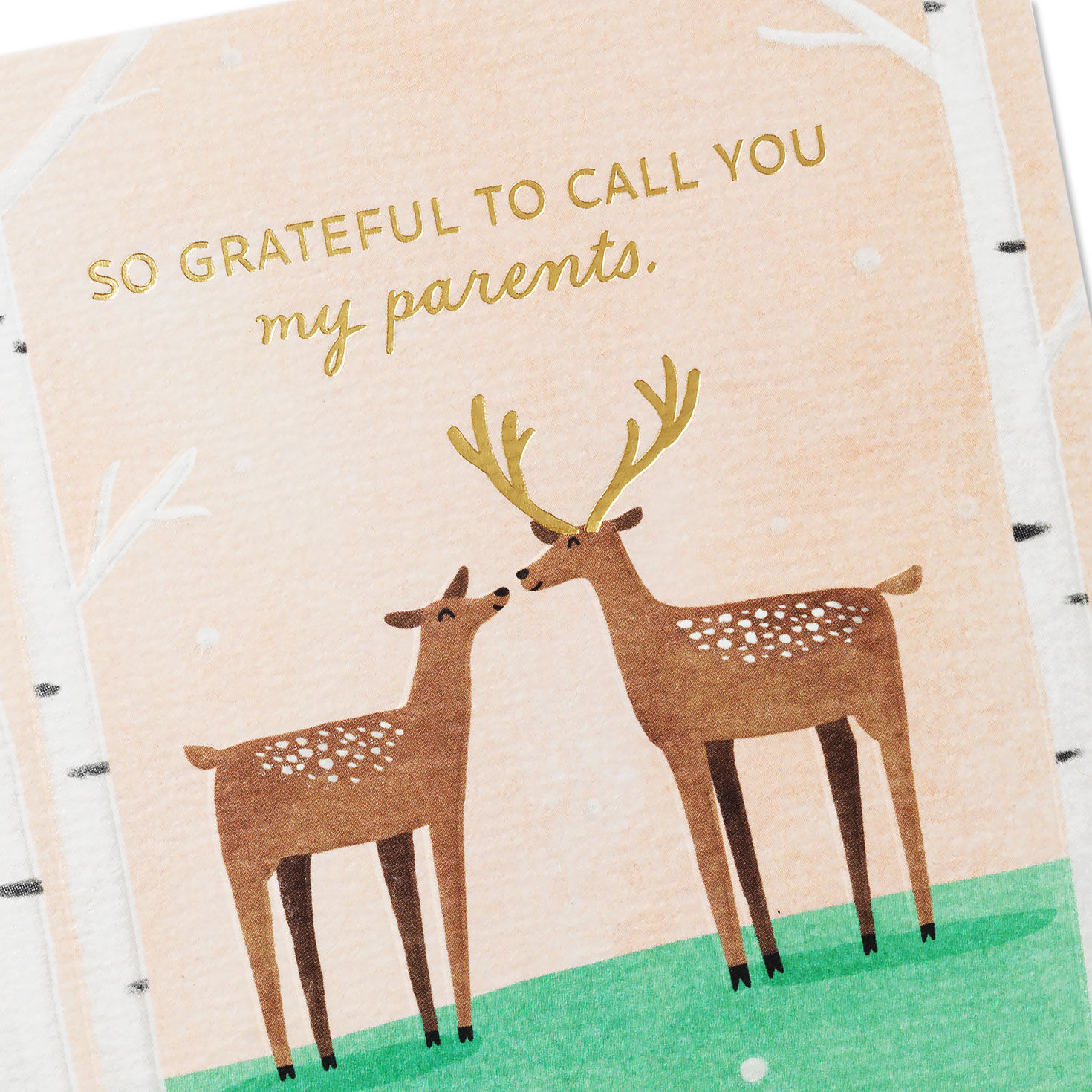 Grateful and Blessed Christmas Card for Parents - Greeting Cards | Hallmark