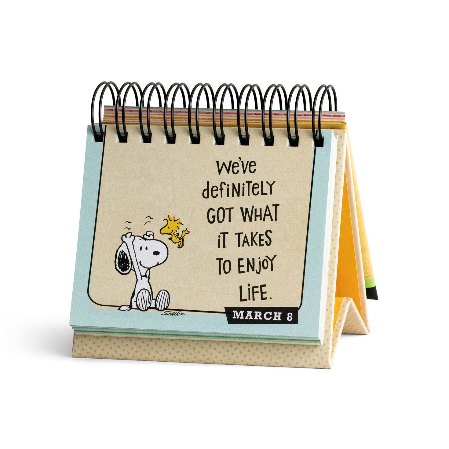 Peanuts® Smiles and Blessings 365-Day Perpetual Calendar - Calendars ...
