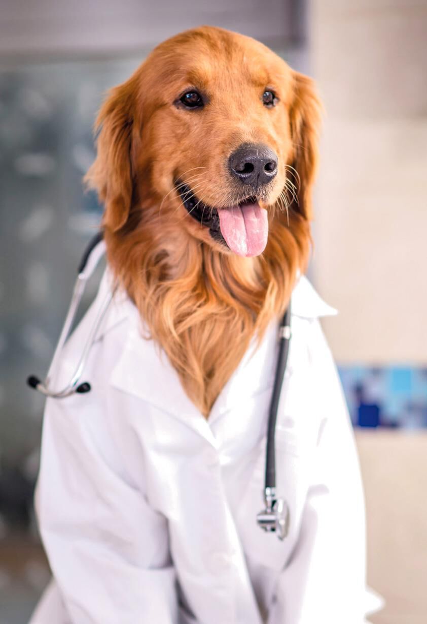 Get Well Cards | Hallmark