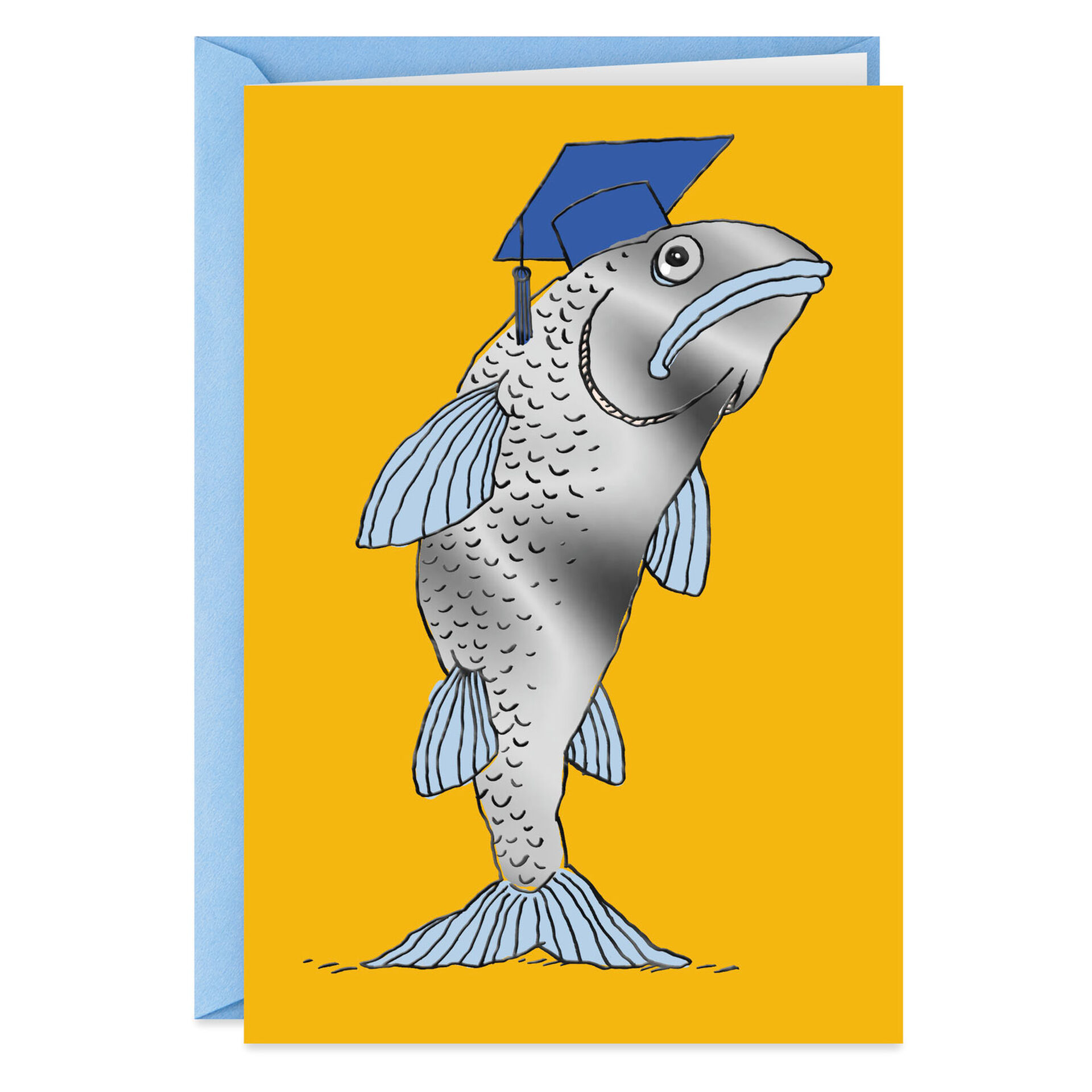 Cod Fish Wearing Mortarboard Funny Graduation Card - Greeting Cards ...