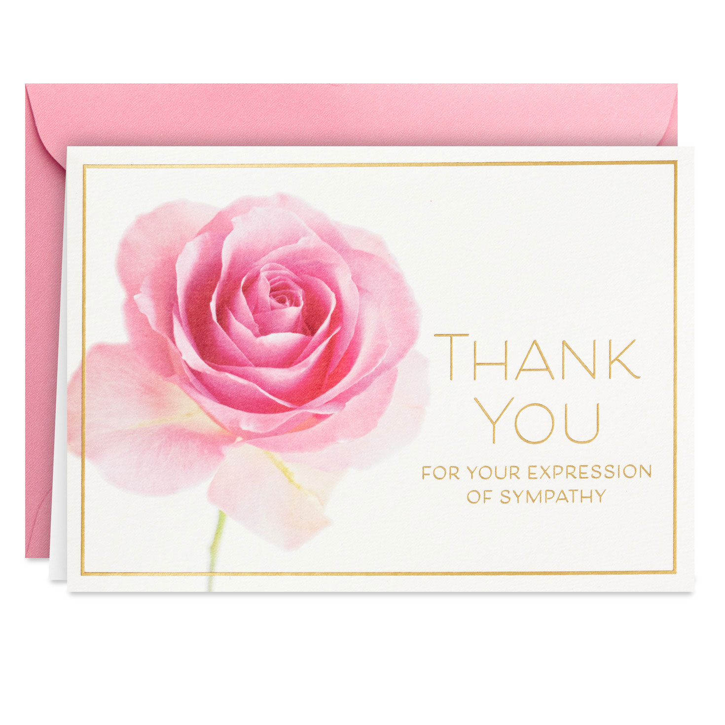 Pink Rose Boxed Blank Sympathy Thank-You Notes, Pack of 10 - Note Cards ...