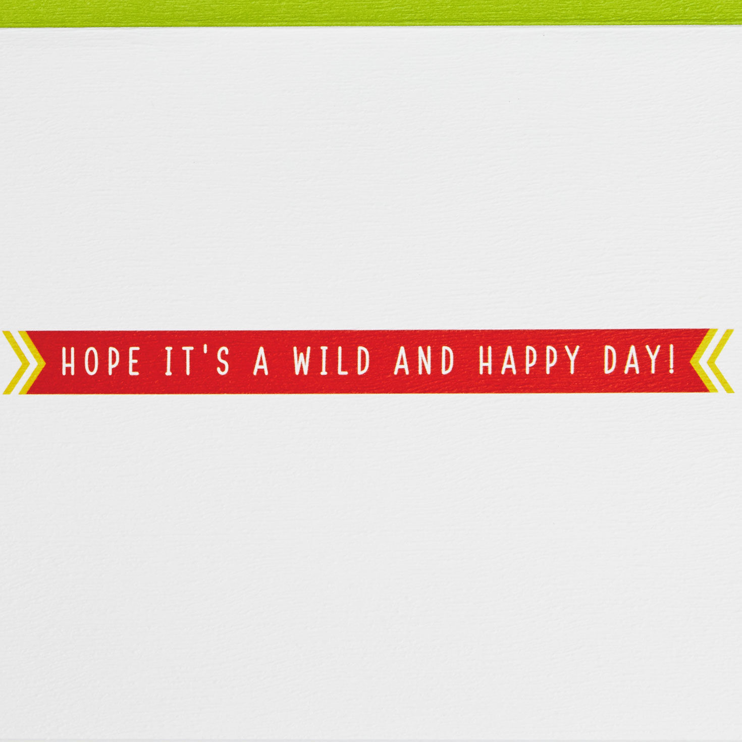 A Wild and Happy Day Birthday Card for Kids With Finger Puppets ...