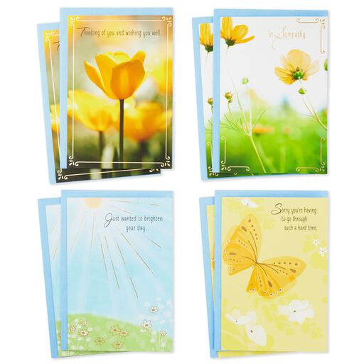 Boxed Cards | Assorted Cards | Hallmark