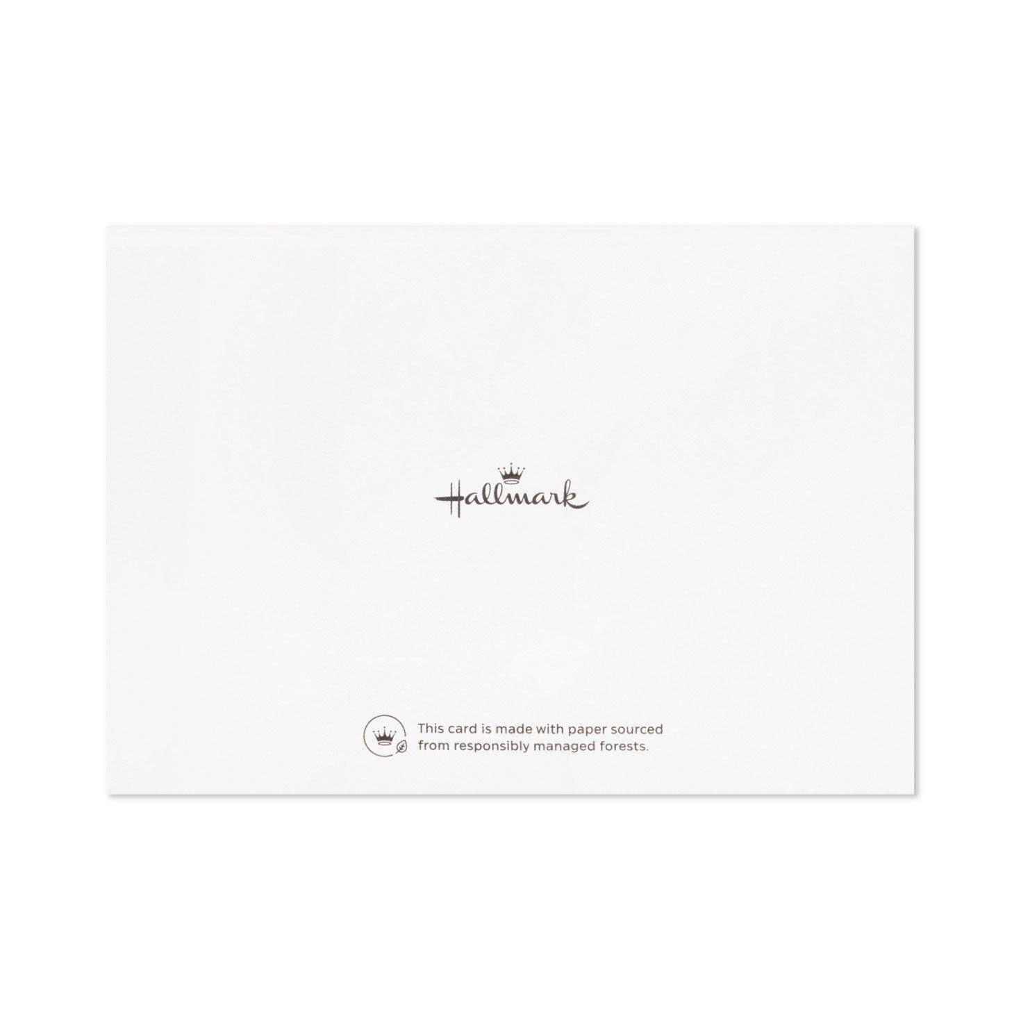 All Kinds of Grateful Blank Thank You Notes, Pack of 10 - Note Cards ...