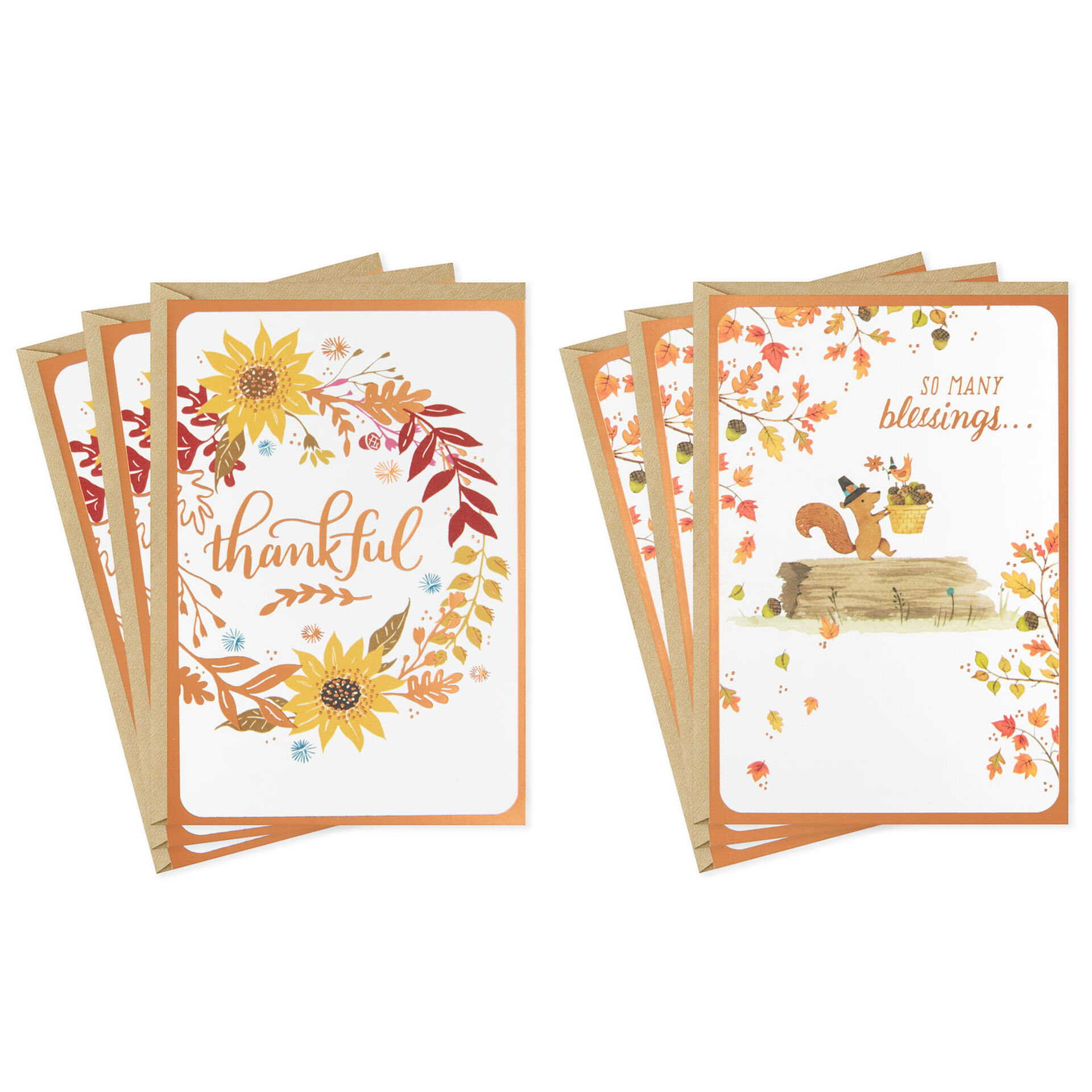 Assorted Religious Thanksgiving Cards, Pack of 6 - Boxed Cards - Hallmark
