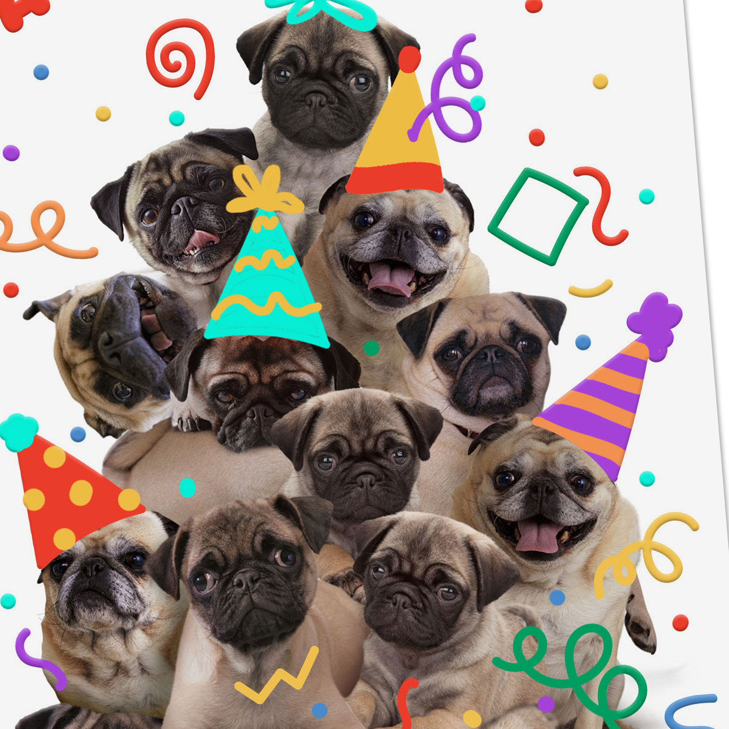 A Pile of Pugs Birthday Card - Greeting Cards | Hallmark