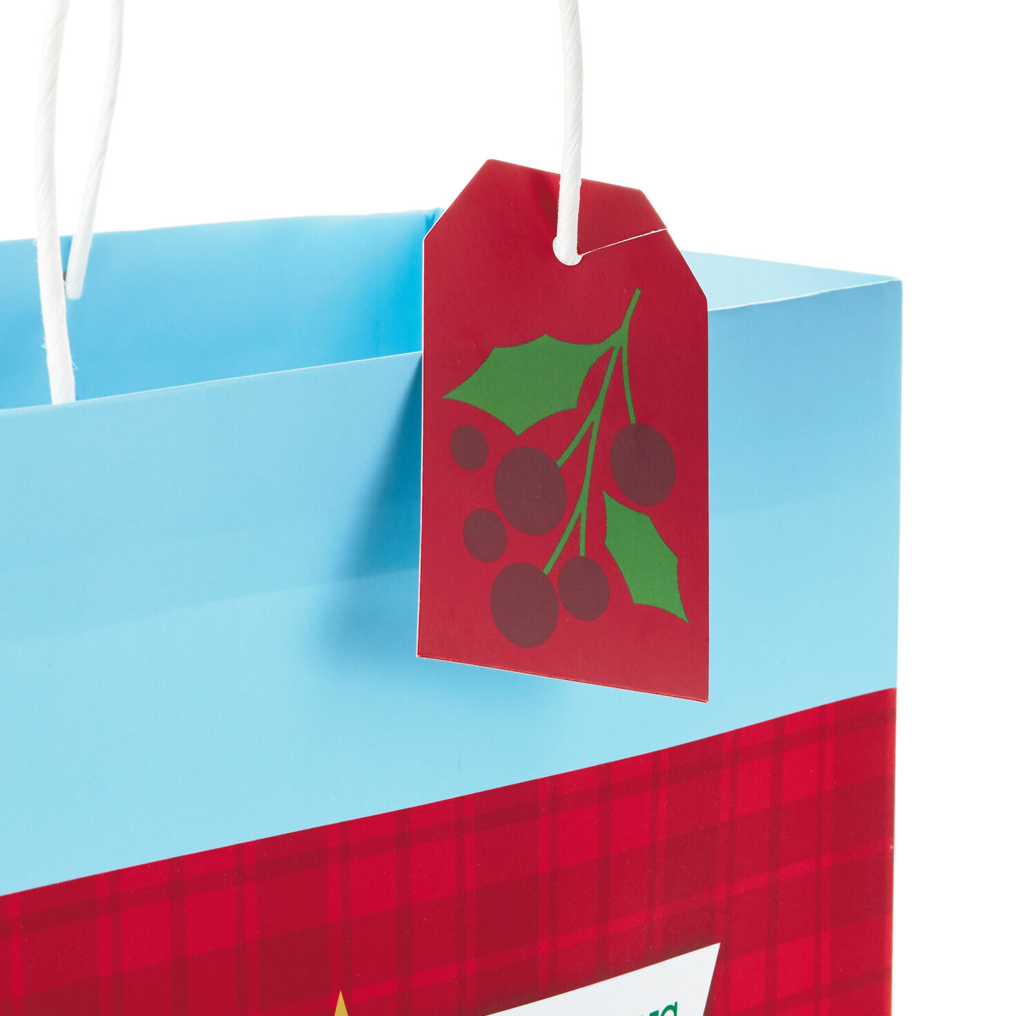 Colorful Christmas Gift Bags With Mix and Match Tags, Assorted Sizes ...