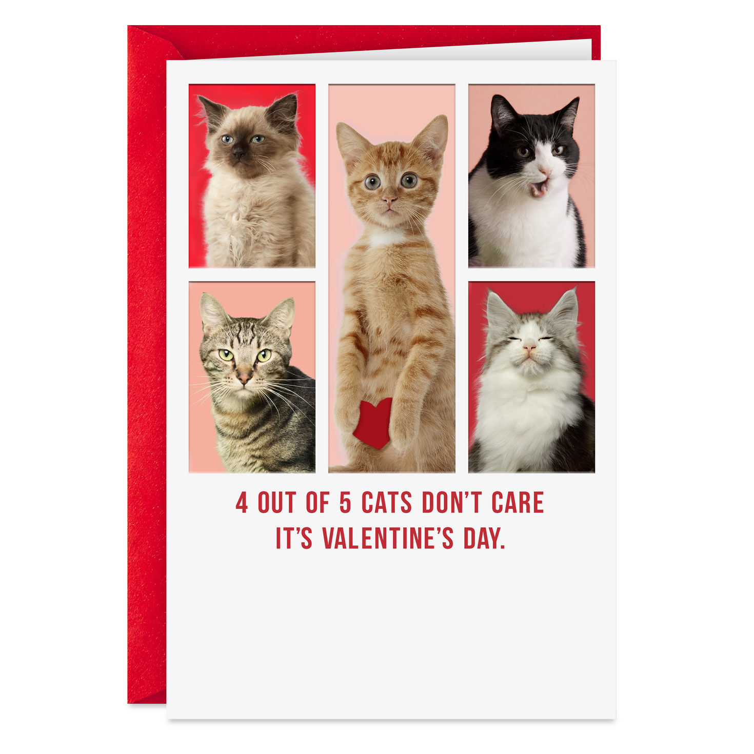 Surprising Funny Valentine Day Cards Pictures