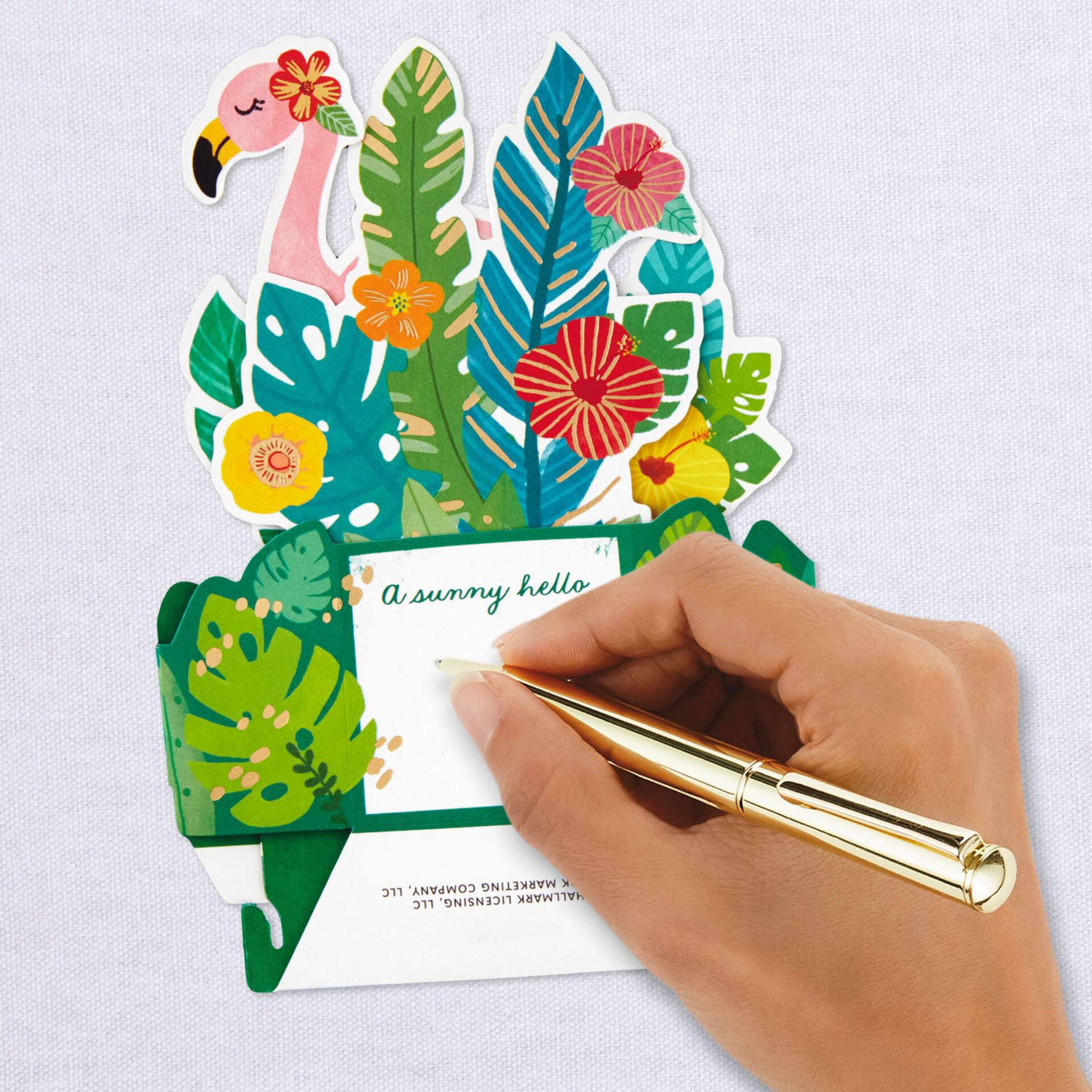 Sunny Hello Flamingo 3D Pop-Up Hello Card - Greeting Cards - Hallmark