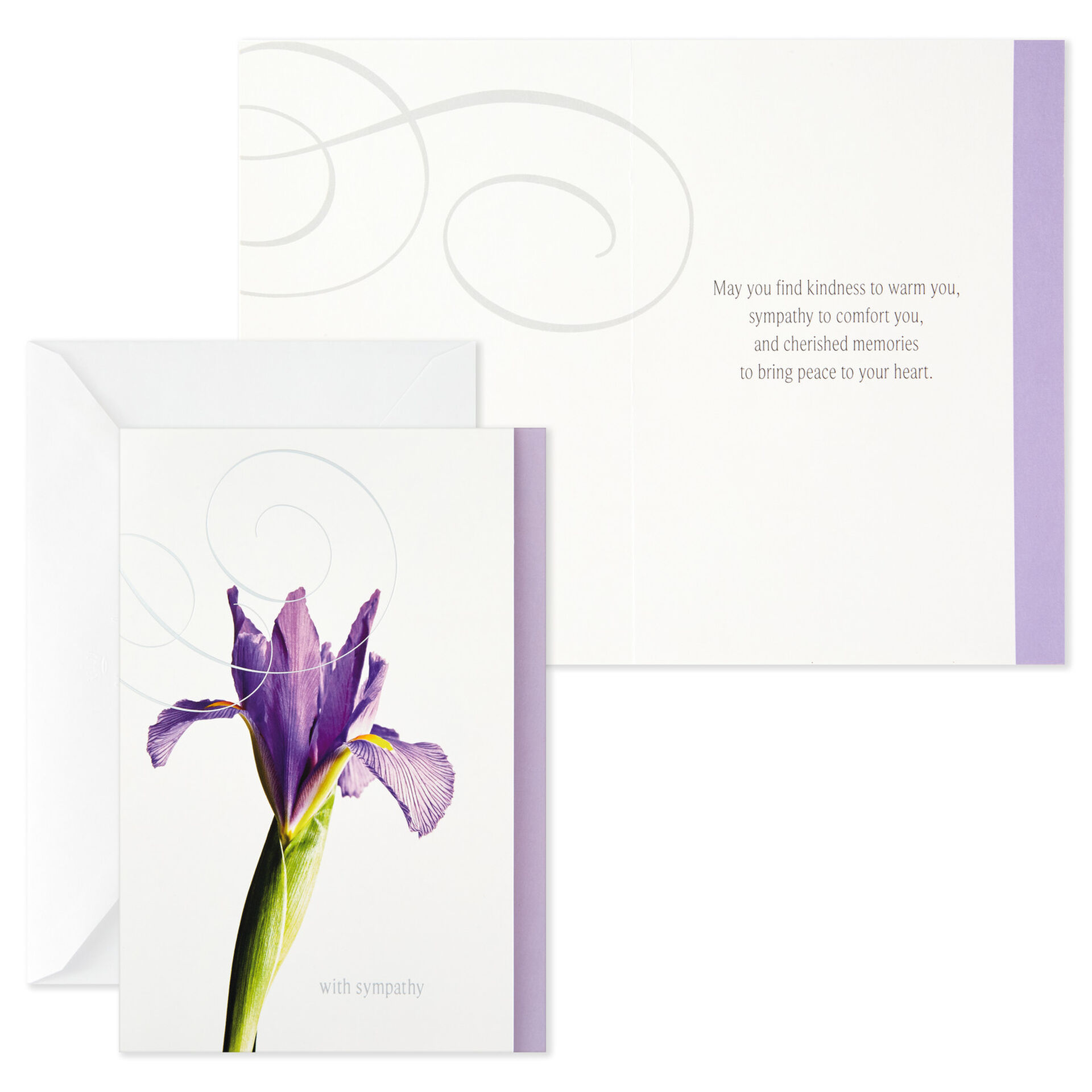 Flower Photos Assorted Sympathy Cards, Box of 12 - Boxed Cards - Hallmark