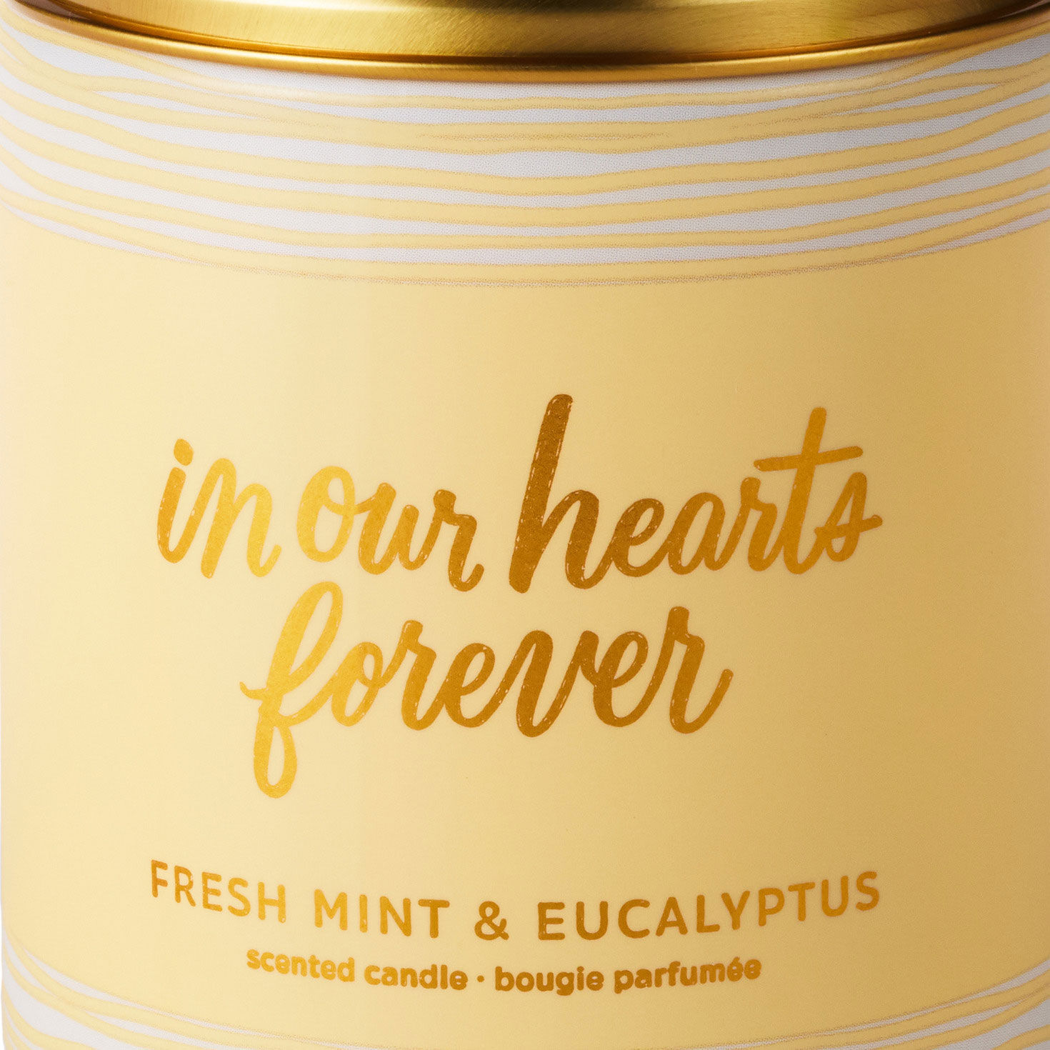 In Our Hearts Forever Fresh Mint & Eucalyptus Scented Jar Candle, 7 oz. - Candles | Hallmark