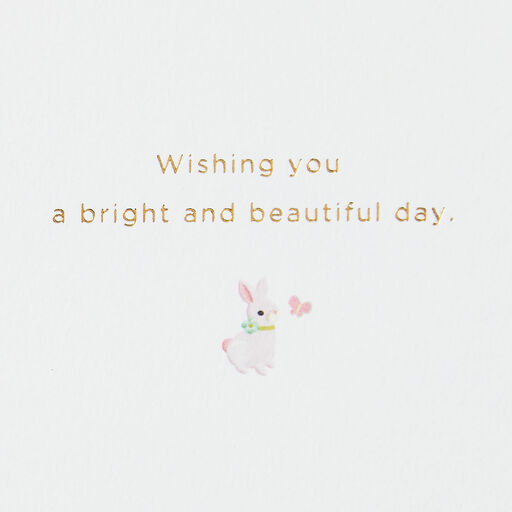 Signature Collection Cards | Distinctly You | Hallmark