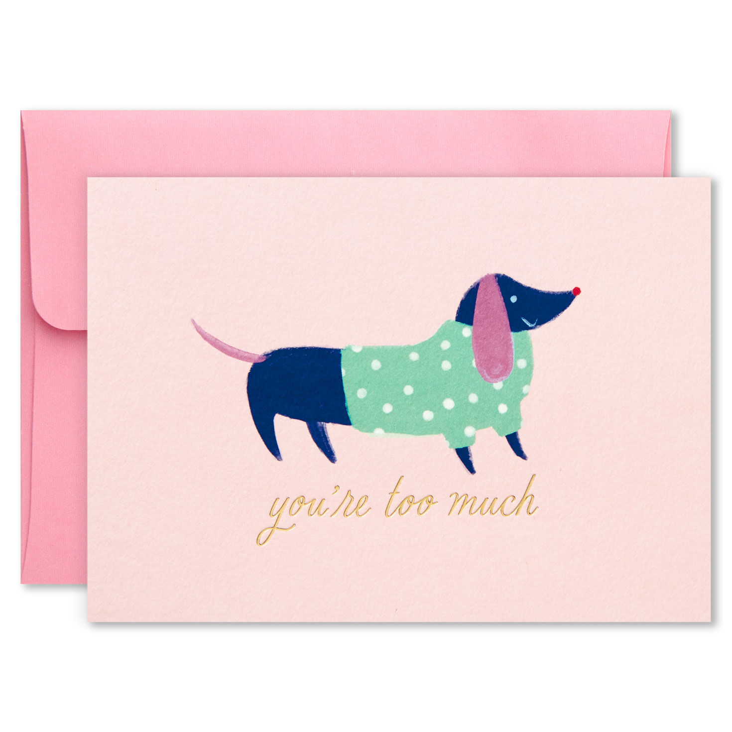 Colorful and Fun Assorted Blank Note Cards, Box of 24 - Note Cards ...