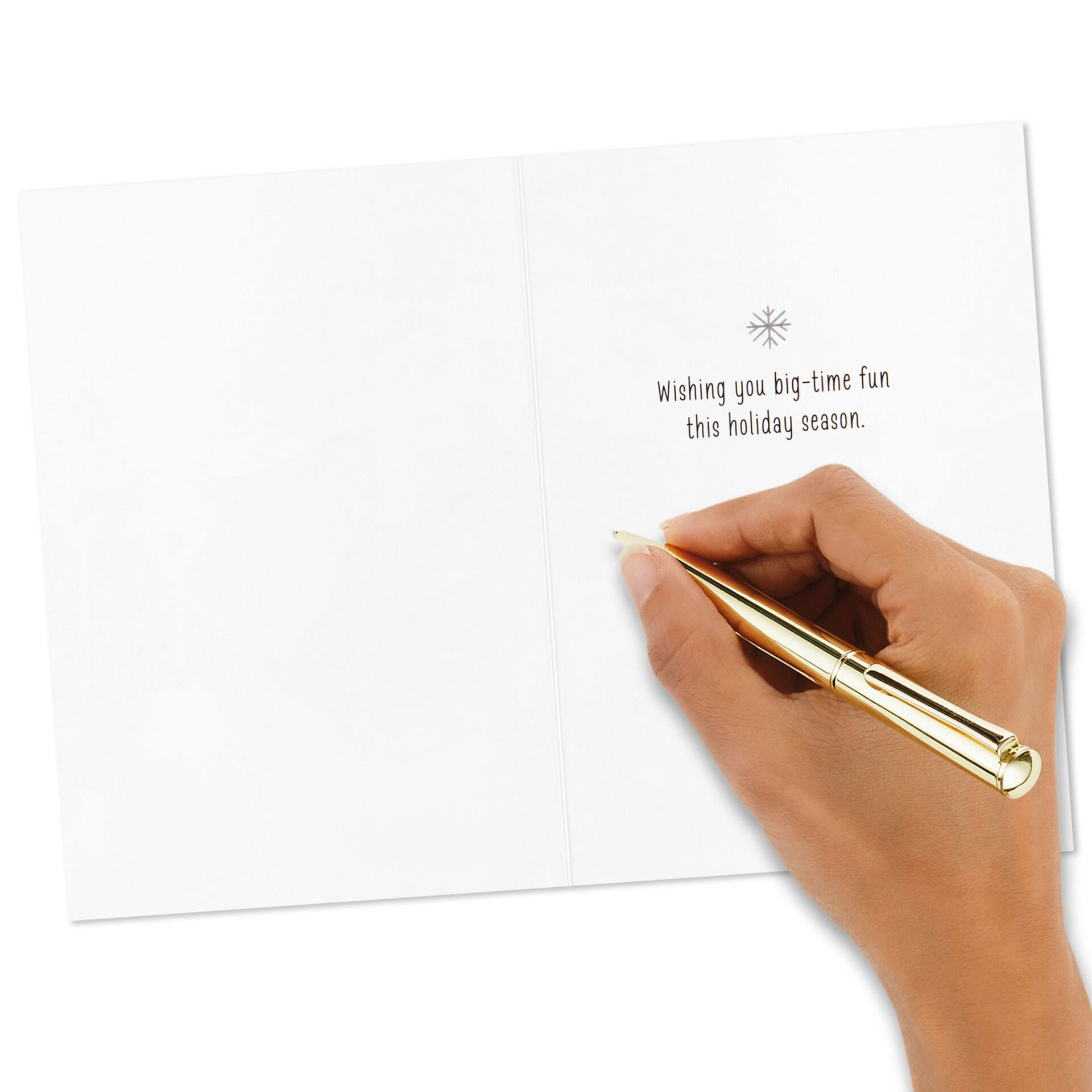 Texas Snow Globe Scene Boxed Christmas Cards, Pack of 16 - Boxed Cards ...