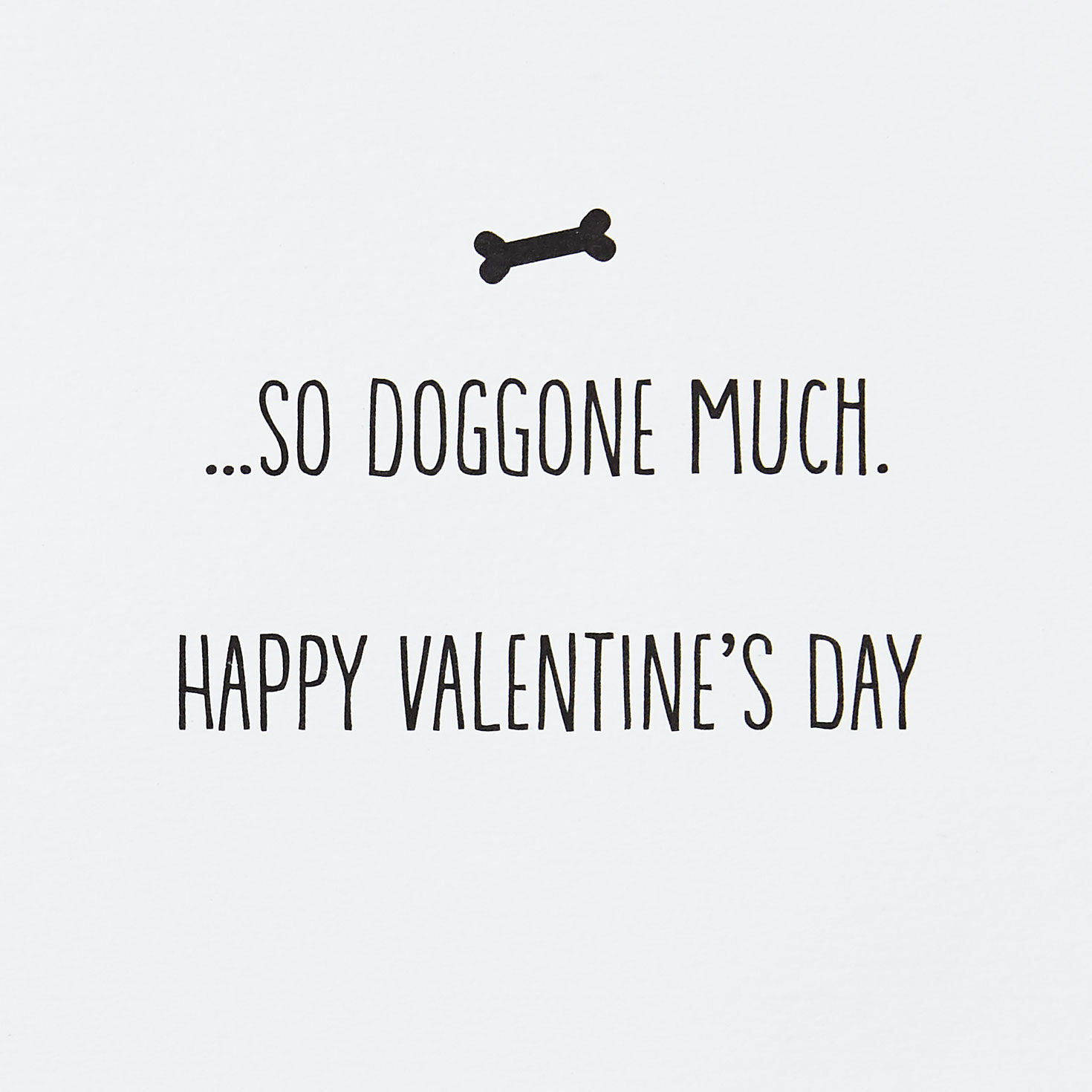 Love You So Doggone Much Valentine's Day Card - Greeting Cards | Hallmark