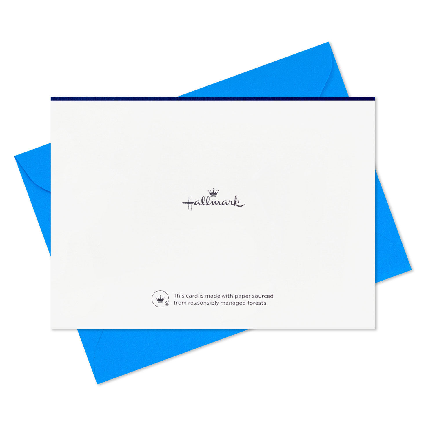 Bright and Cheery Assorted Blank Boxed Notes, Pack of 24 - Note Cards ...