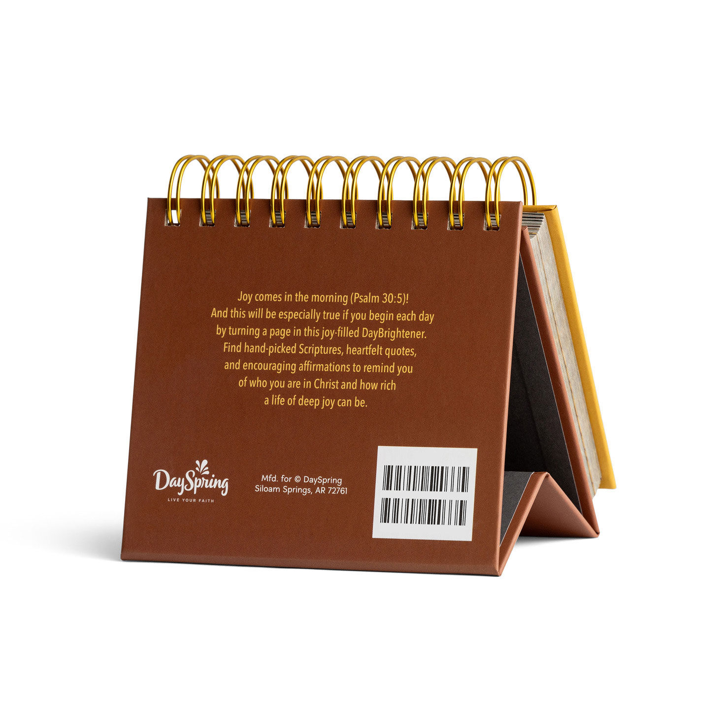 Joy for Today DaySpring Perpetual Calendar - Calendars & Planners ...