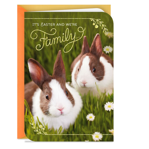 Easter Cards 2022 | Hallmark