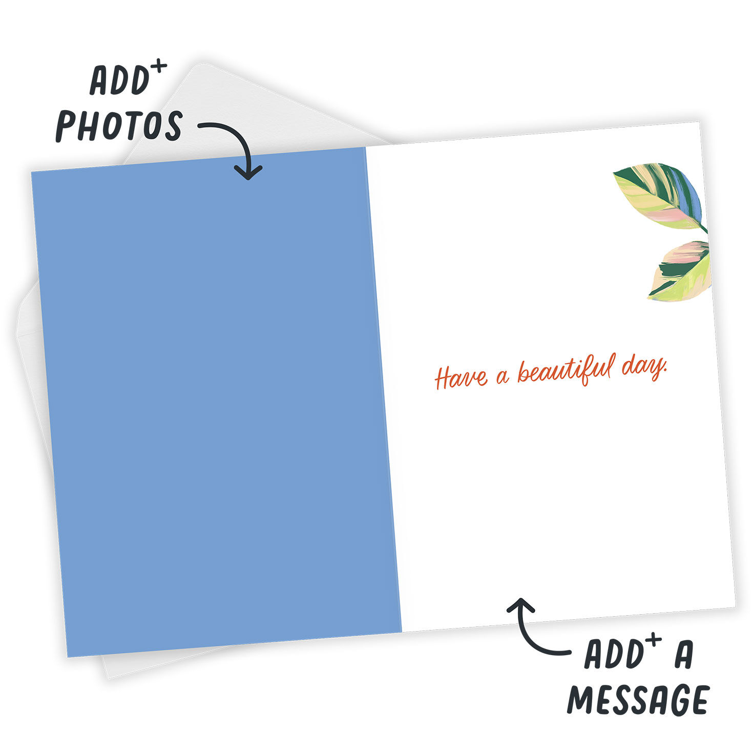 Butterfly Garden Custom Card - Greeting Cards | Hallmark