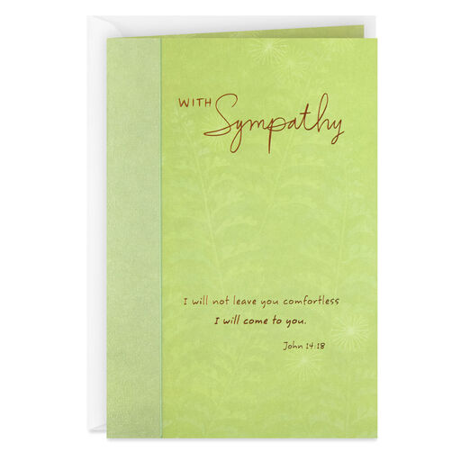 Sympathy Cards | Hallmark