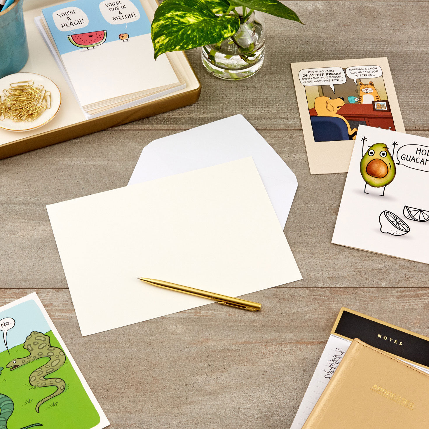 Funny All-Occasion Boxed Blank Cards Assortment, Pack of 12 - Boxed ...