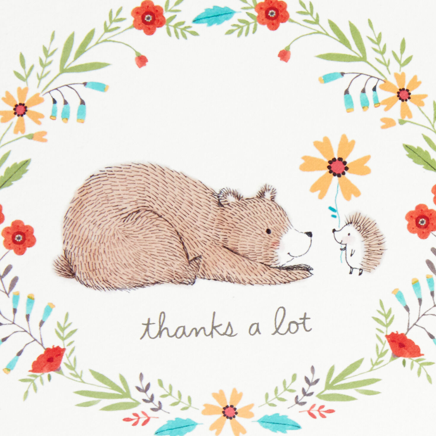 Woodland Animals Assorted Blank Thank-You Notes, Box of 48 - Note Cards ...