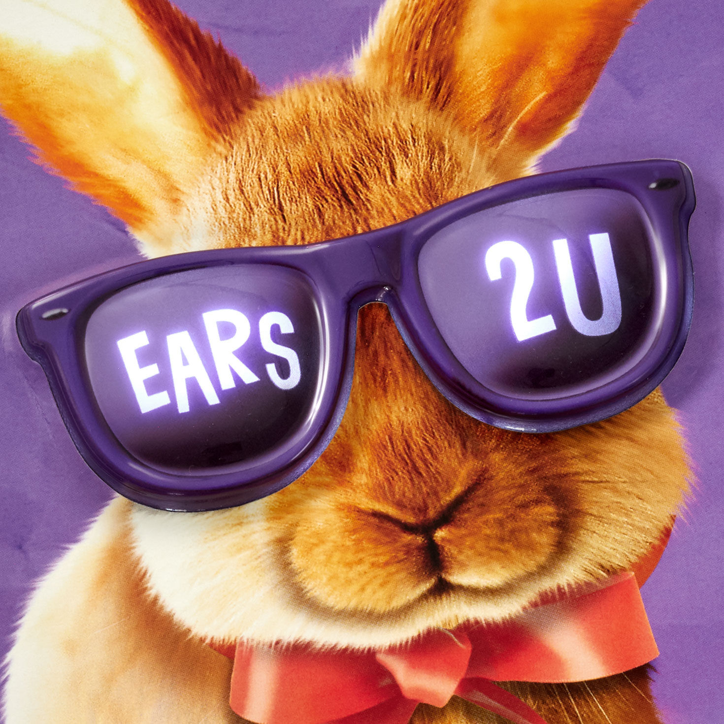 Ears to You Funny Musical Easter Card With Light - Greeting Cards ...