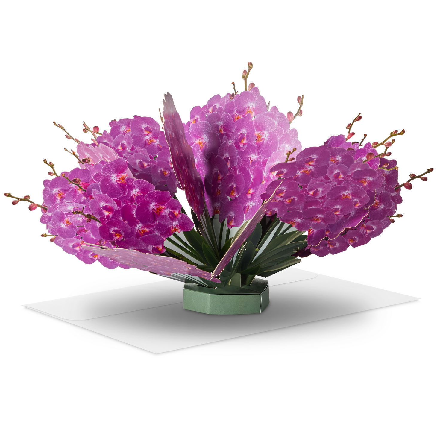 Build-a-Bouquet Fuchsia Orchids Pop-Up Paper Flowers - Greeting Cards ...