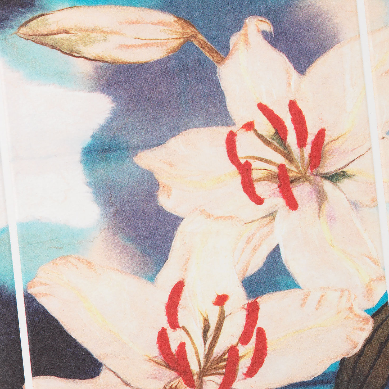 ArtLifting Blooming Lilies Blank Card - Greeting Cards | Hallmark
