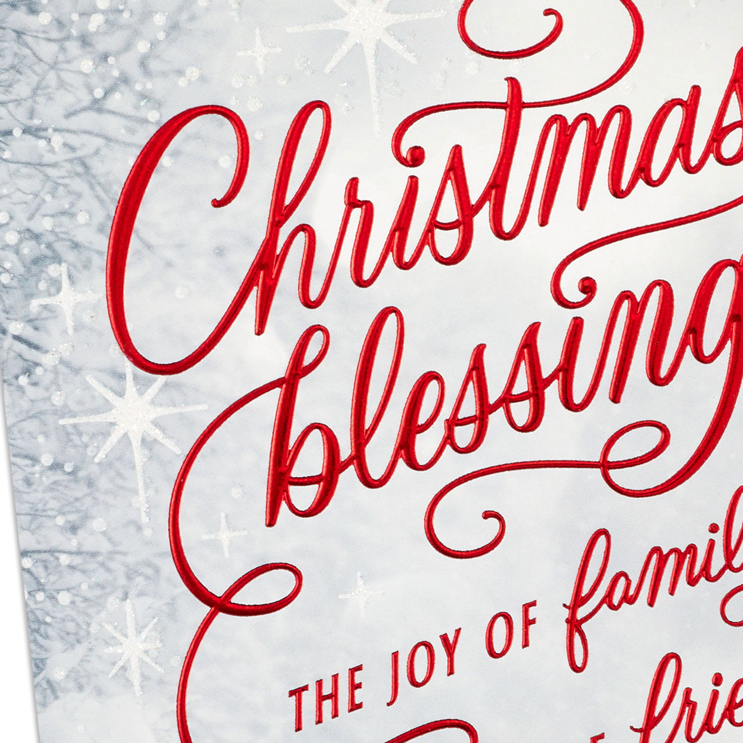 Red Script and Snowy Evergreens Boxed Christmas Cards, Pack of 16 ...