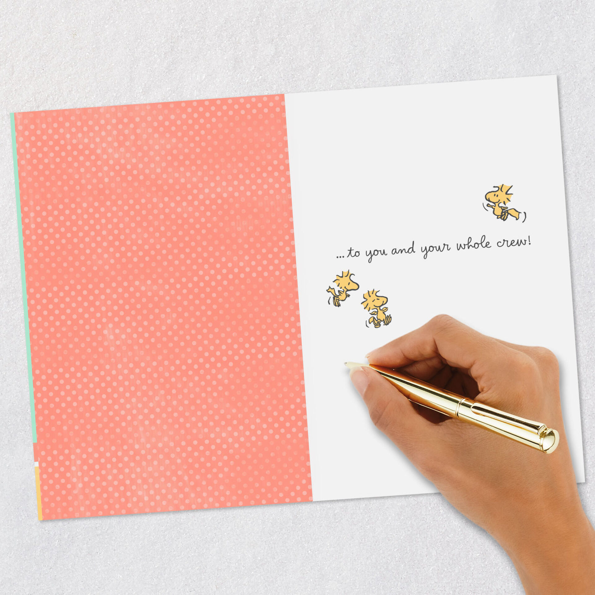 Peanuts® Snoopy Easter Bunny and Woodstock Easter Card for All ...