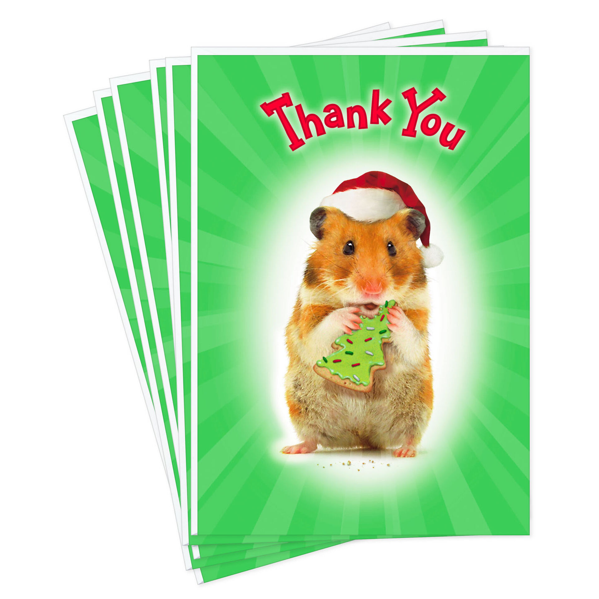 Happy Hamster Christmas Thank-You Cards, Pack of 6 - Boxed Cards - Hallmark
