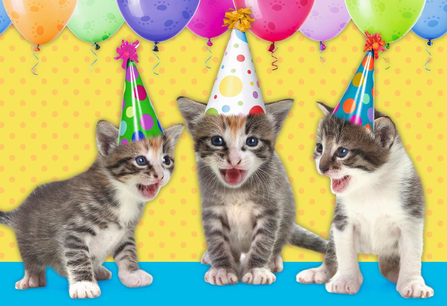 Musical Greeting Cards | Singing Birthday Cards | Hallmark