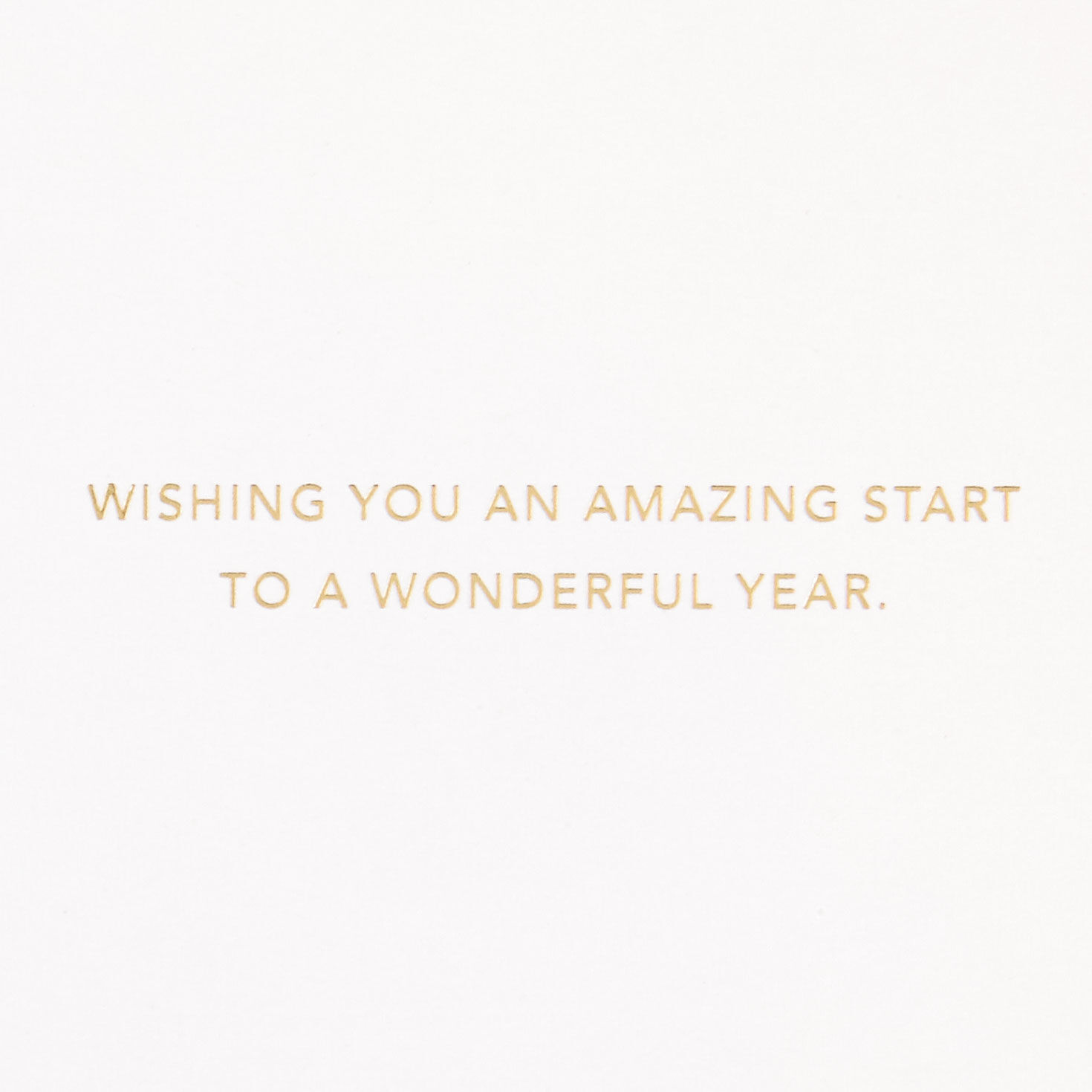 Wishing You a Wonderful Year Birthday Card - Greeting Cards | Hallmark