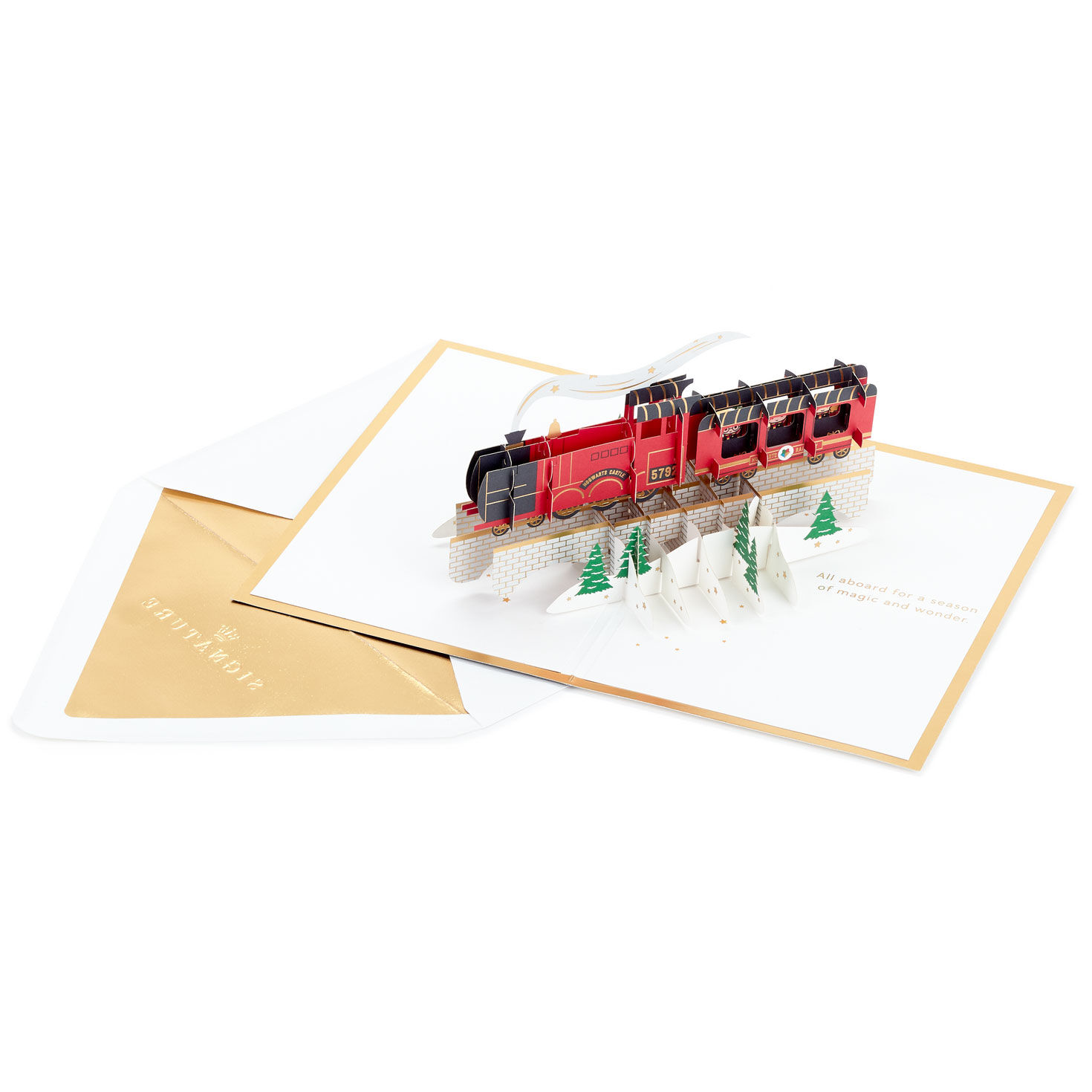 Harry Potter™ Hogwarts™ Express 3D Pop-Up Christmas Card - Greeting ...