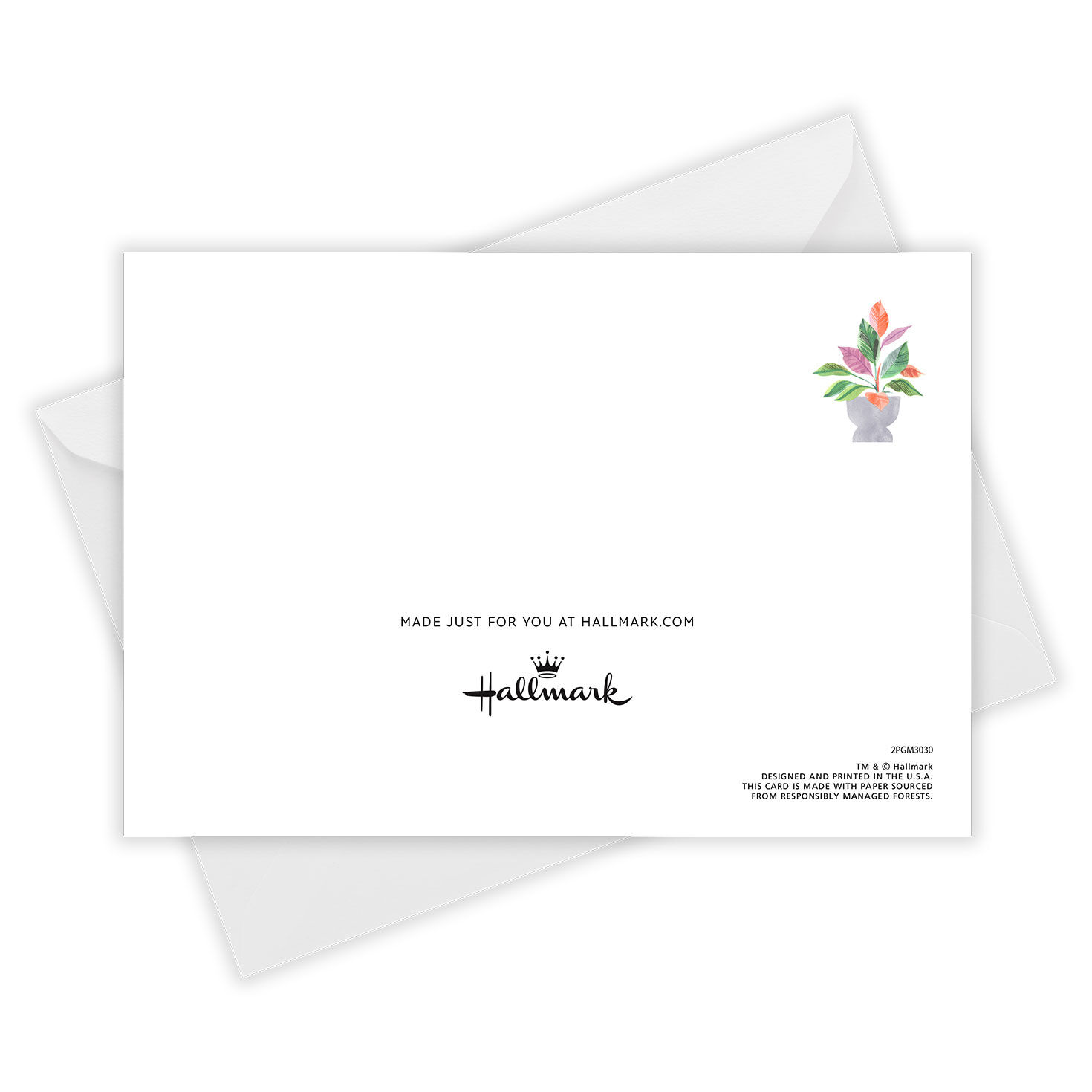 Potted Plants Custom Mother's Day Card - Greeting Cards | Hallmark