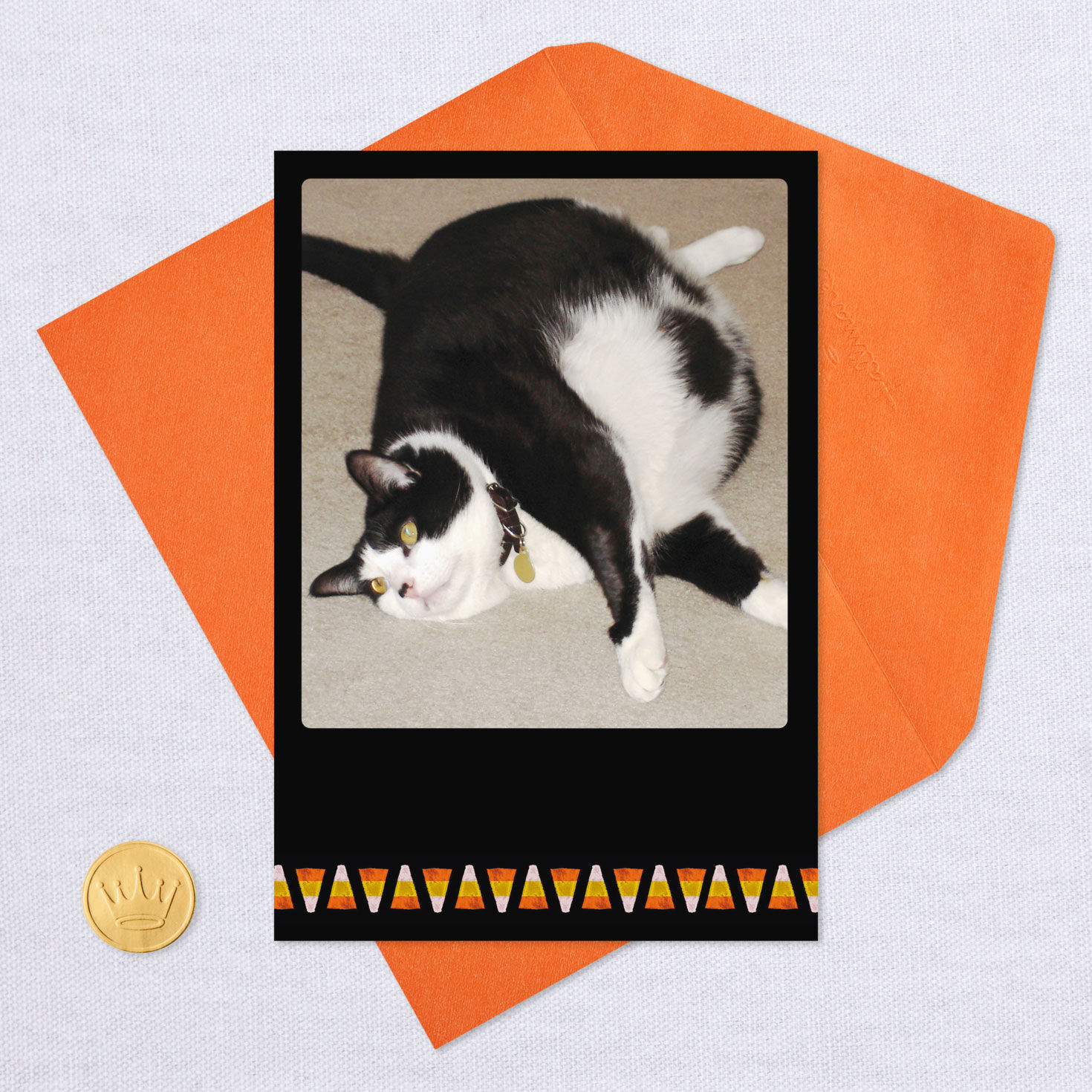 Fat Cat and Candy Corn Funny Halloween Card - Greeting Cards | Hallmark