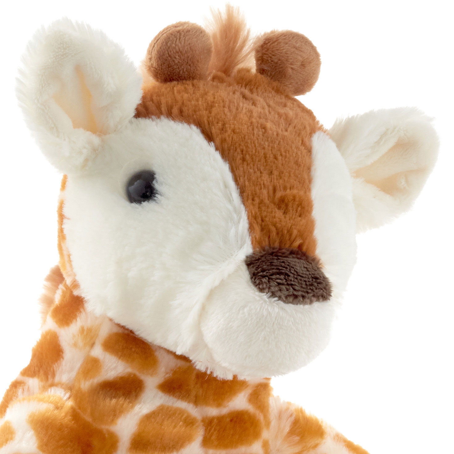 Baby Giraffe Stuffed Animal, 8" - Classic Stuffed Animals | Hallmark