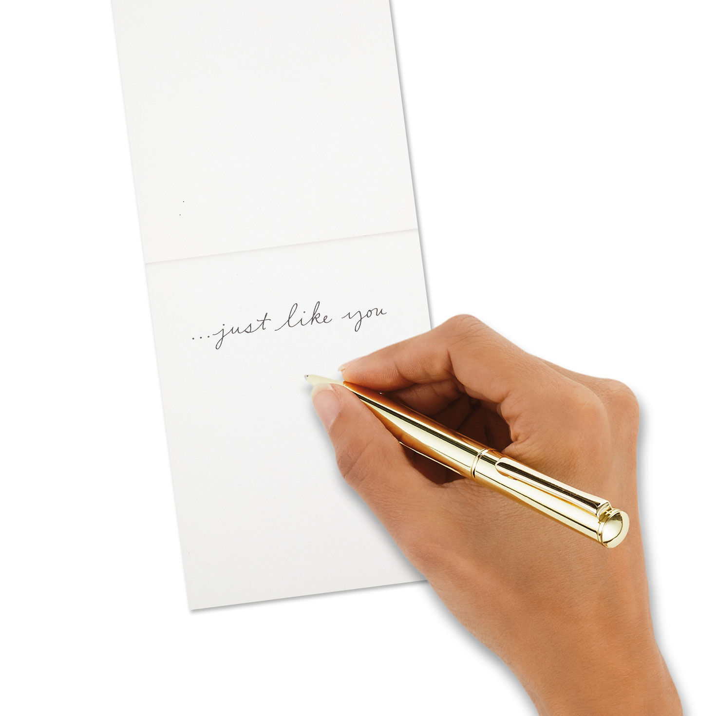 Pink Floral Large Gift Tag and Ribbon Set - Seals & Gift Tags | Hallmark